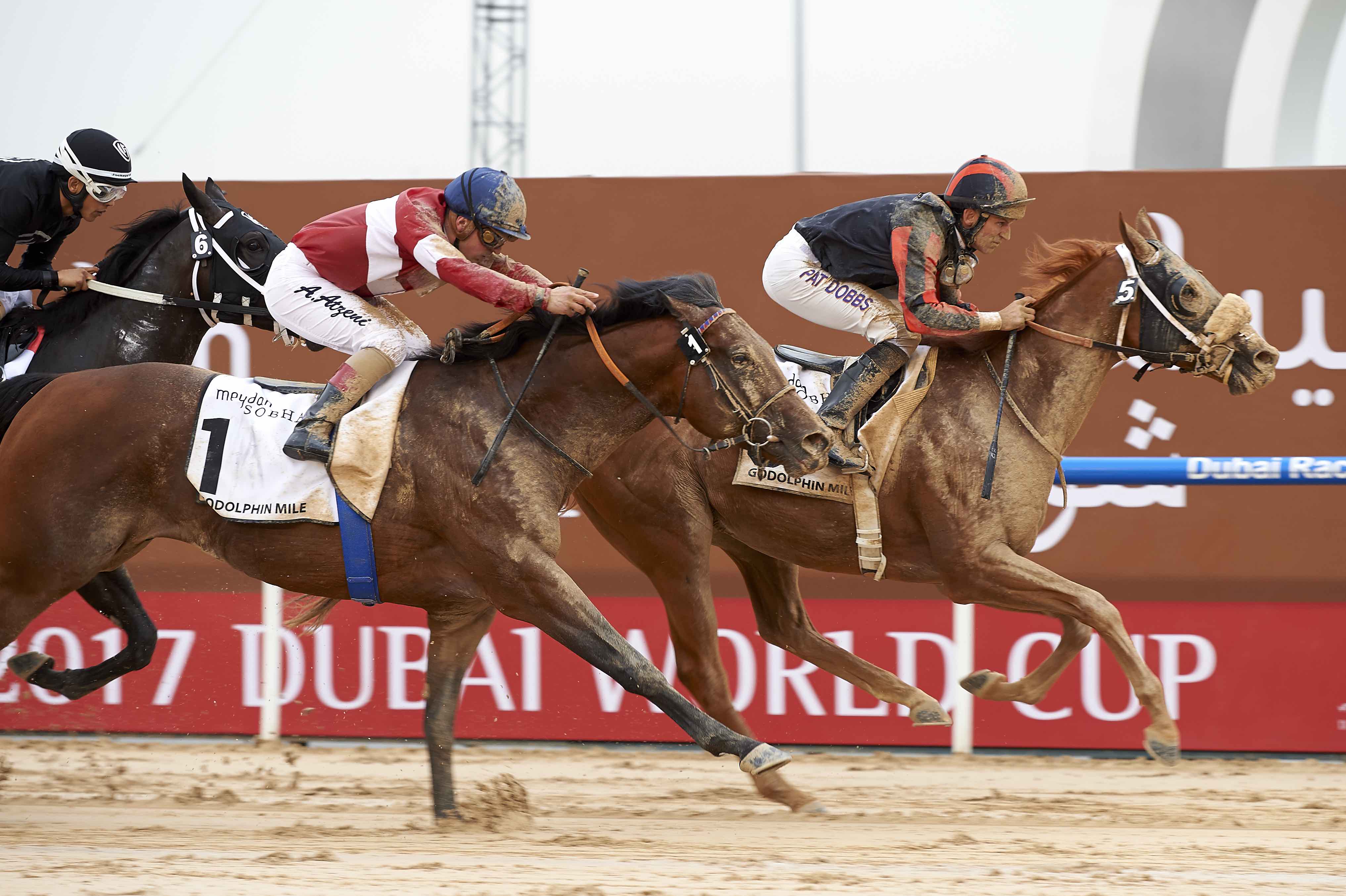 Word Is This Filly Has Shown Some Serious Improvement - Daily Sport