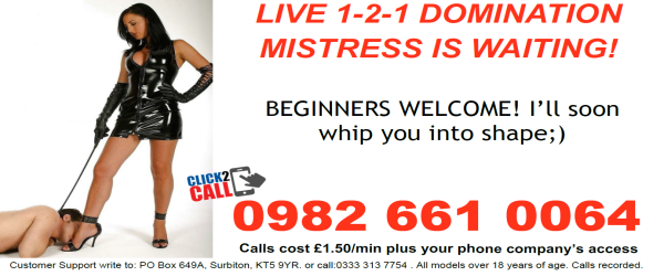 Justin Haley - Daily Sport